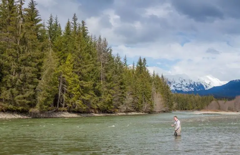 5 Best Steelhead Rigs for Bank Fishing And Bobber Fishing – Active At ...